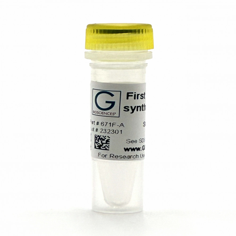 First strand cDNA synthesis kit for gene expression analysis