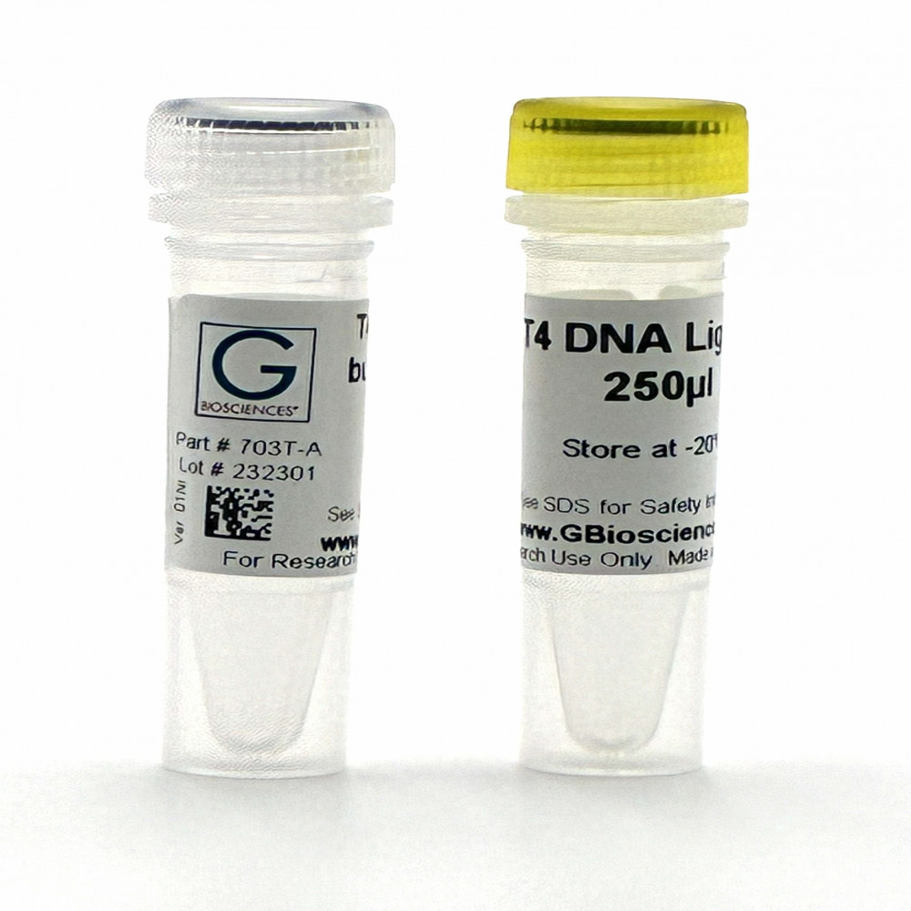 T4 DNA Ligase for cloning and next-generation sequencing (NGS)
