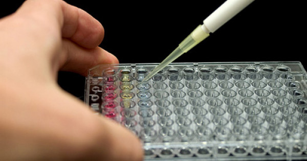 Nickel Coated Plates for 6X His (Polyhistidine) Tagged Proteins