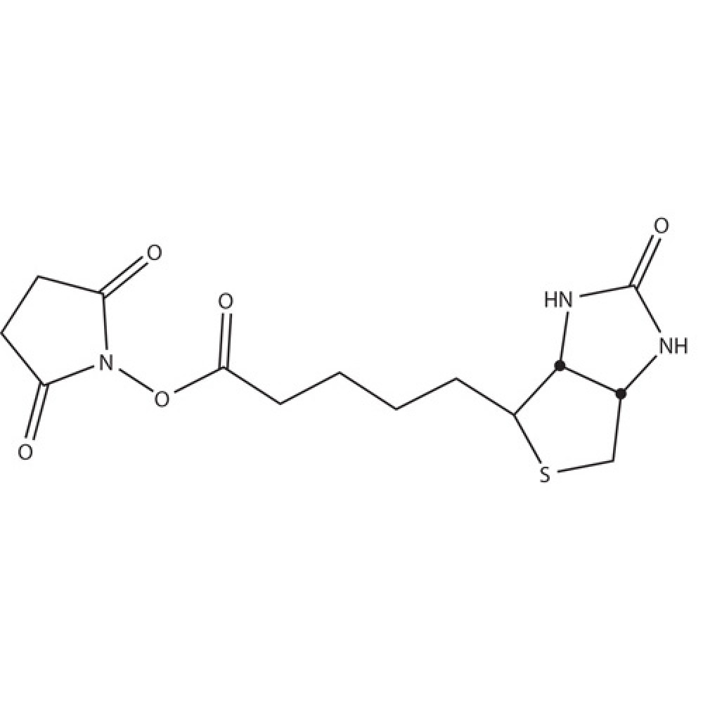 Biotin Labeling Reagent (Amine Reactive) | HOOK NHS-Biotin | G-Biosciences